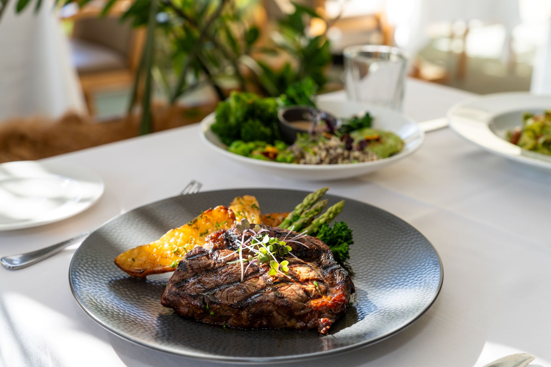 Dining | Pullman Cairns International